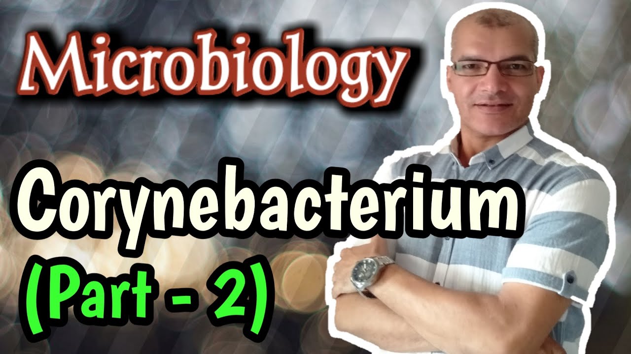 Corynebacterium diphtheriae: Lab Diagnosis, Treatment, and Prophylaxis ...