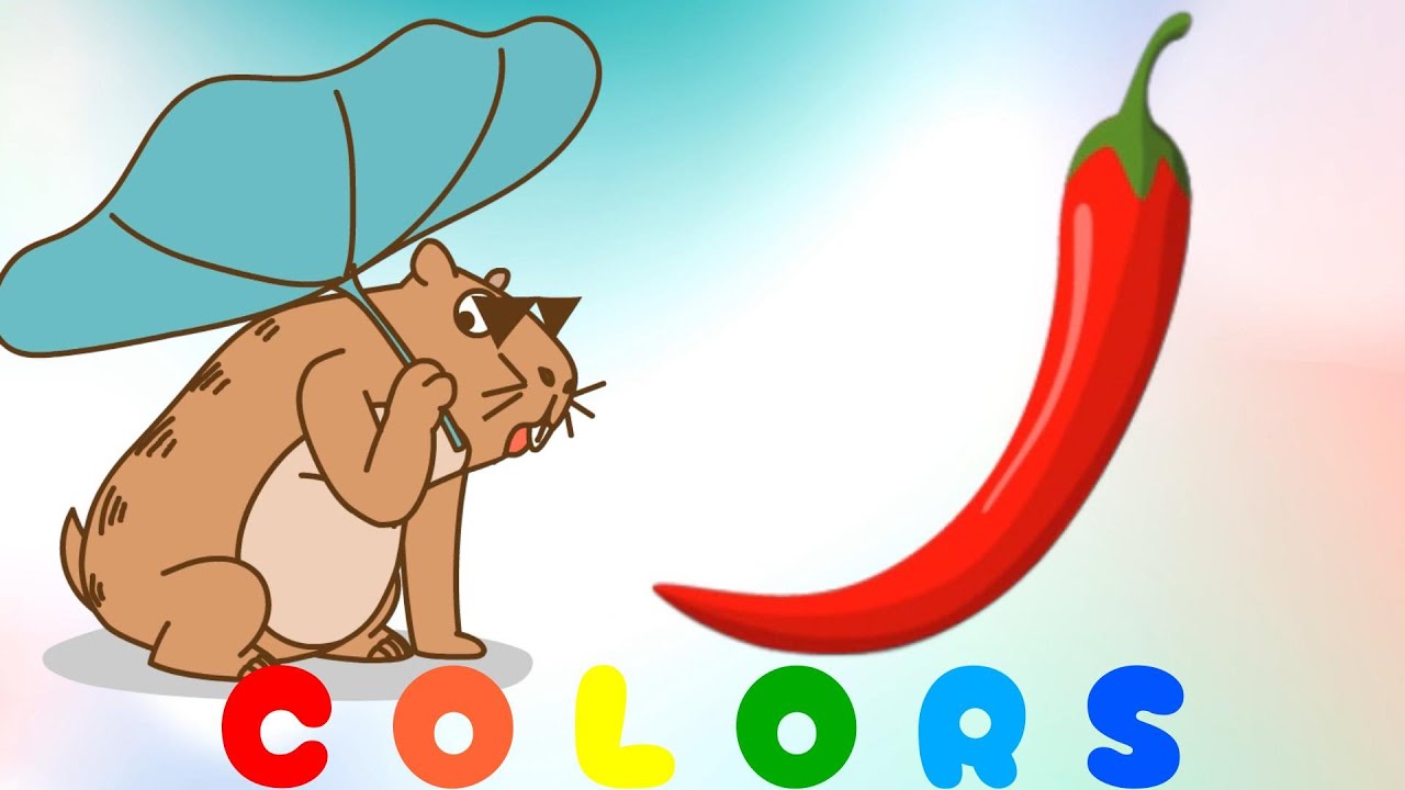 Colors | Colors learning for kids | Color adventure for kids - YouTube