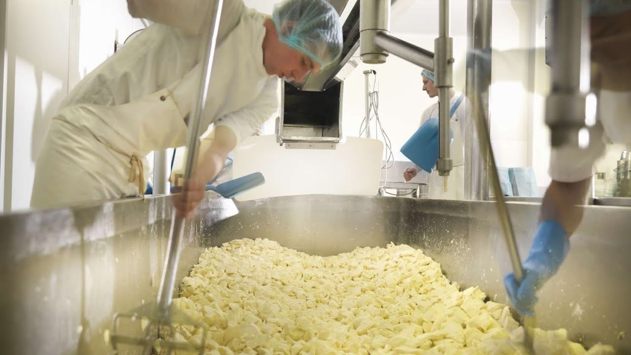 Cheesy Chronicles: The Art of Cheese Making - YouTube