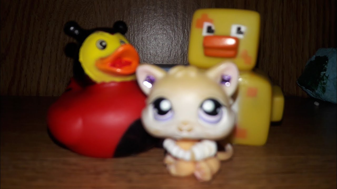 MY DUCK COLLECTION LOL and an announcement! - YouTube