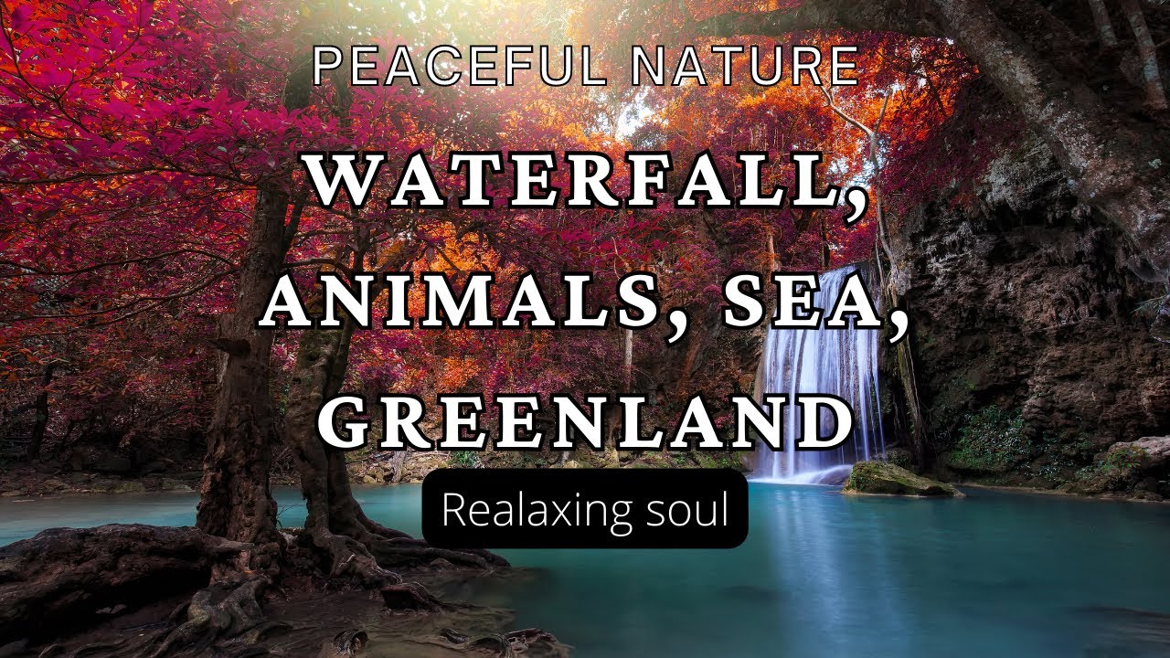 The Meaning About Nature - YouTube