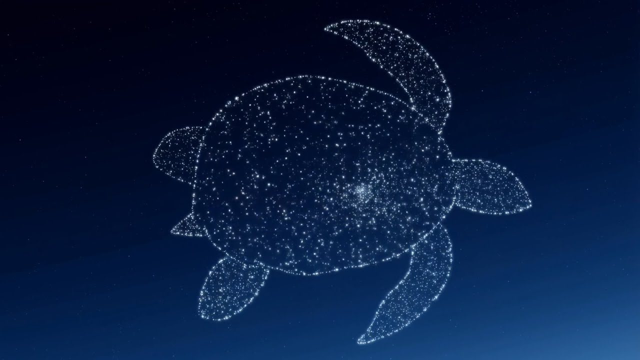 Spirit of the Great Turtle — Native American Cosmic Tale - YouTube