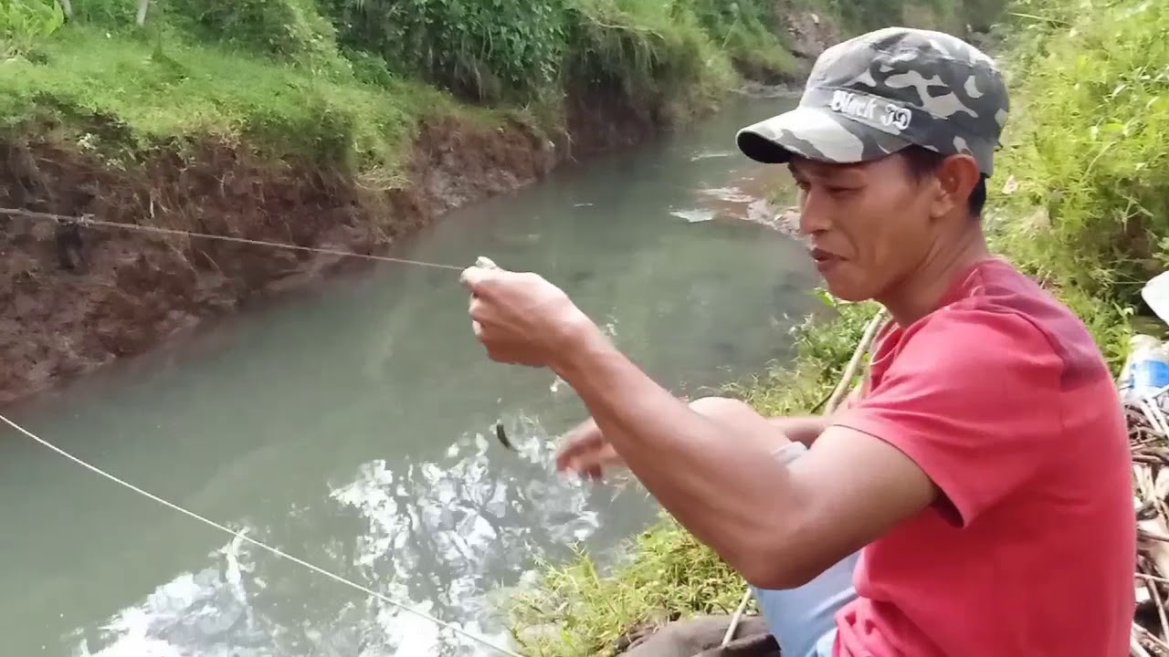 Mancing abis hujan, asyiknya jadi banyak orang yang mancing - YouTube