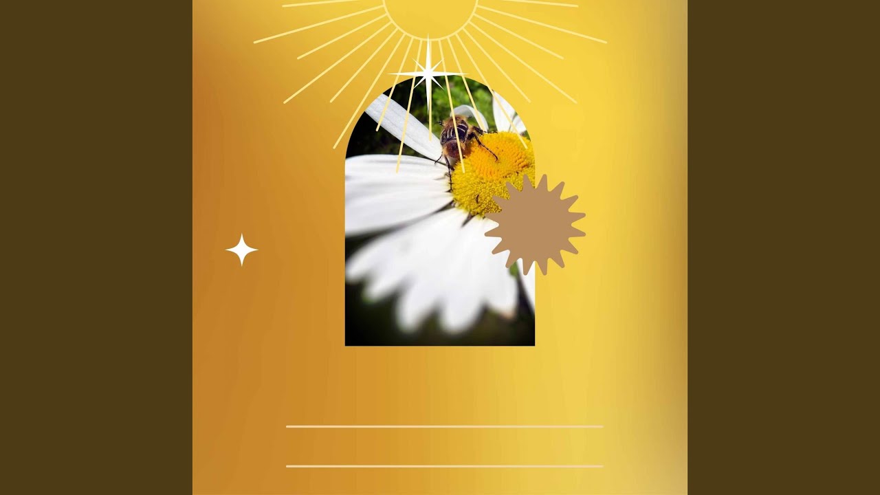 Stylish Refreshing Spring - YouTube