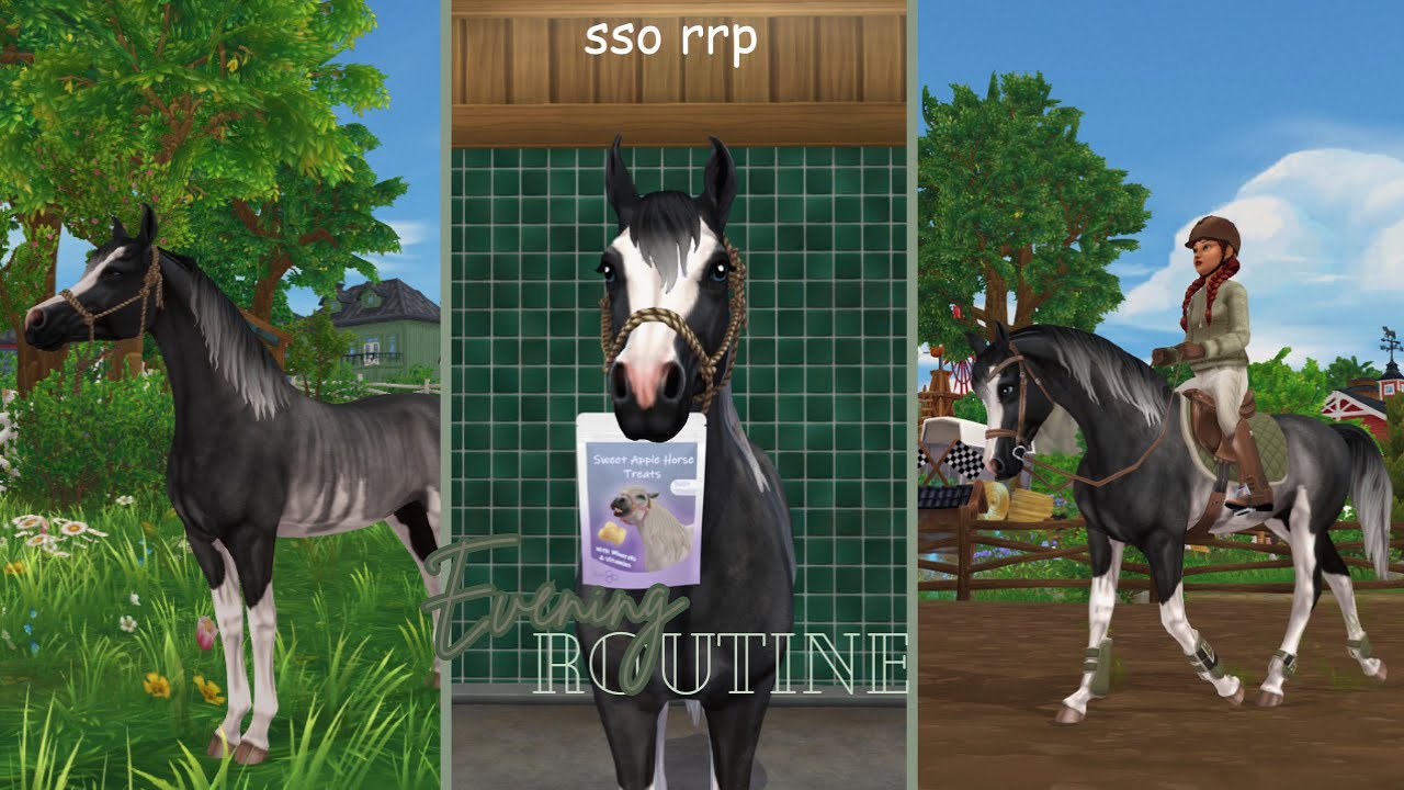 SSO RRP | Evening routine at the barn! - YouTube