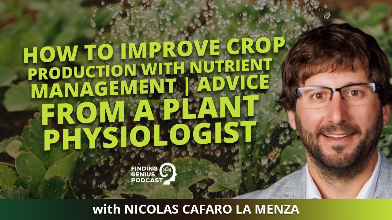 How To Improve Crop Production With Nutrient Management | Advice From A ...