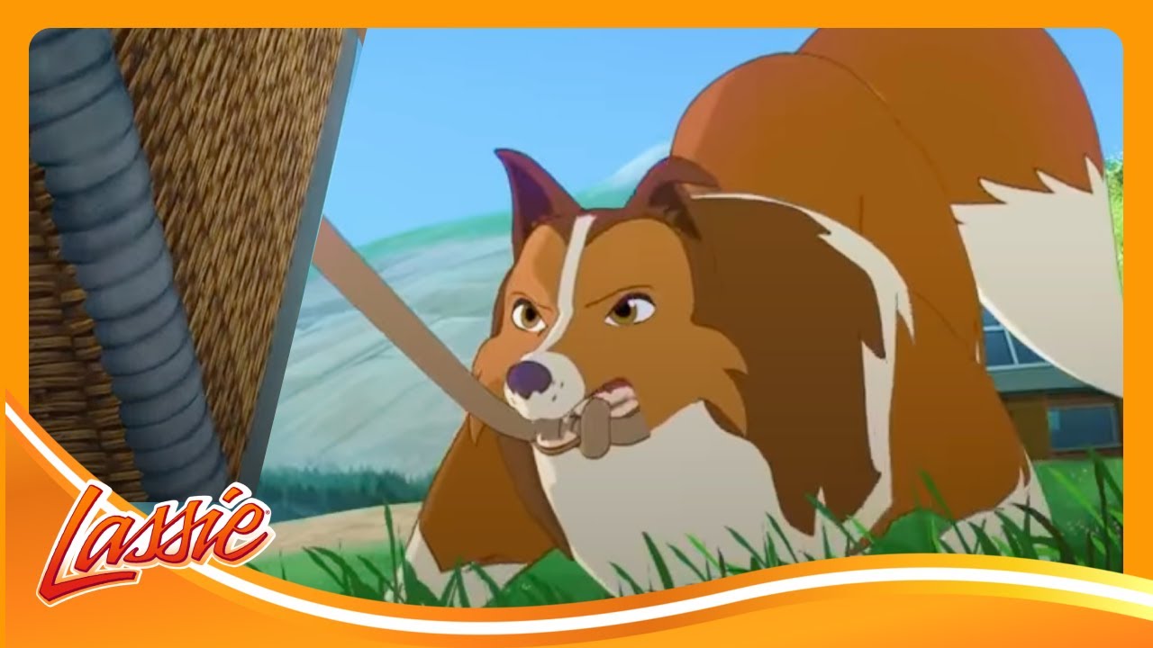 🐕 Brave Dog Lassie Helps a Friend Face Her Fear 🐶 Cartoon for Kids ...