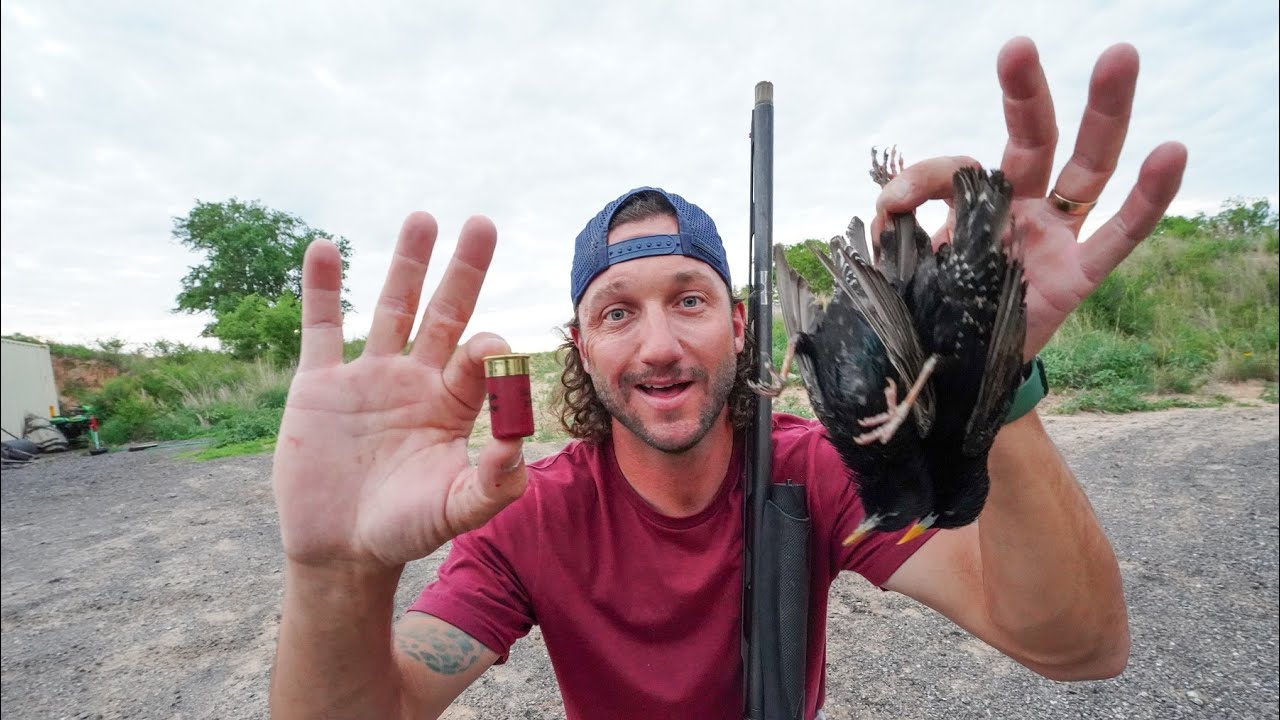 Hunting Starlings using Worlds Smallest Shotgun Shell!! - YouTube