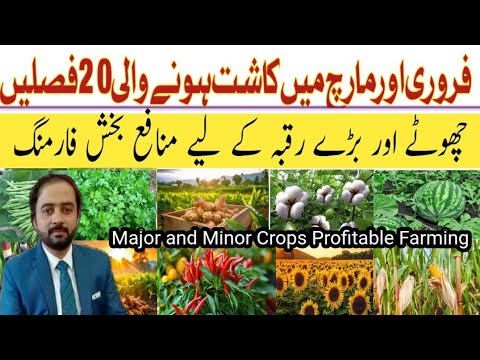 Profitable Farming Major and Minor crops|20Best growing Crops in ...