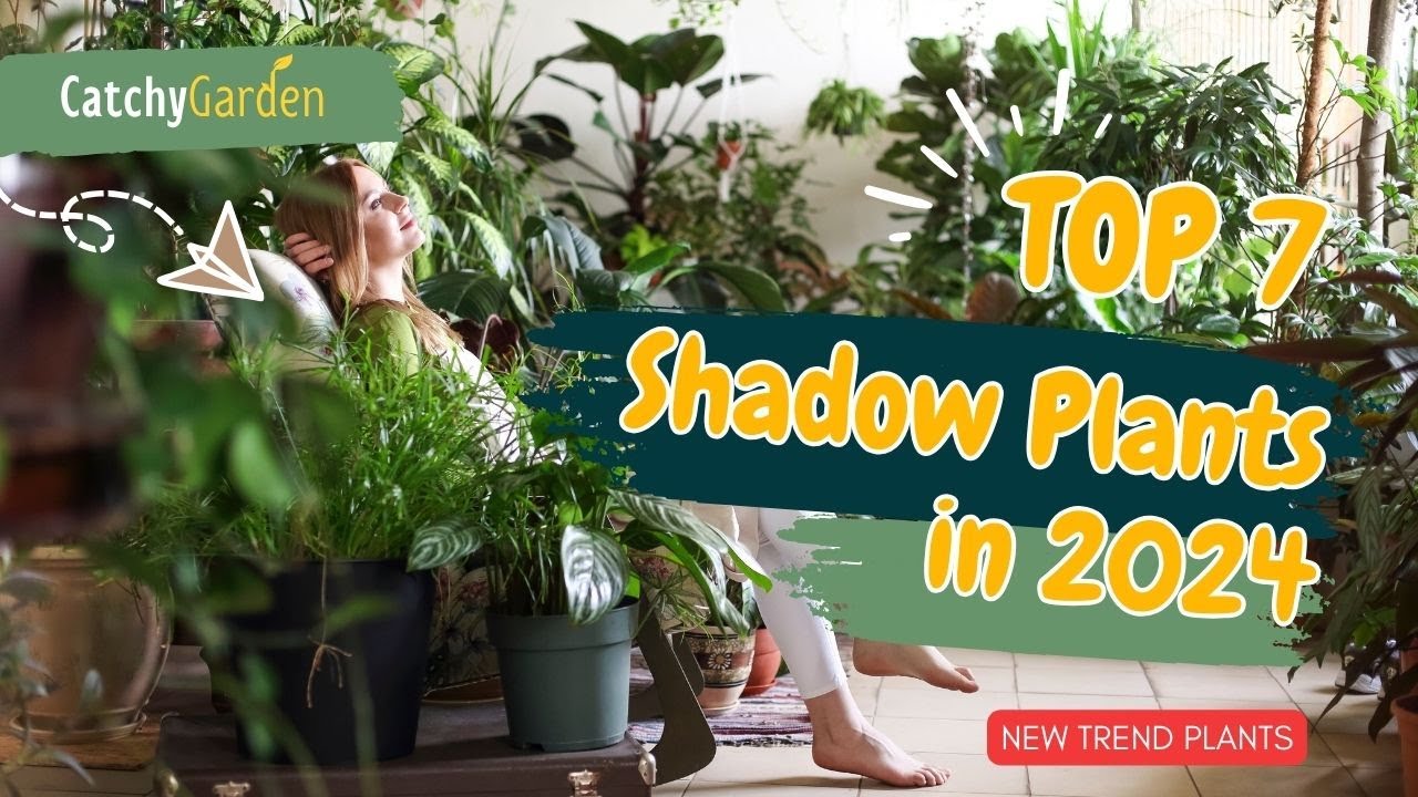 New Trend Plants: Top 7 Shadow Plants in 2024 🌱🌿🌷 // Gardening Ideas ...