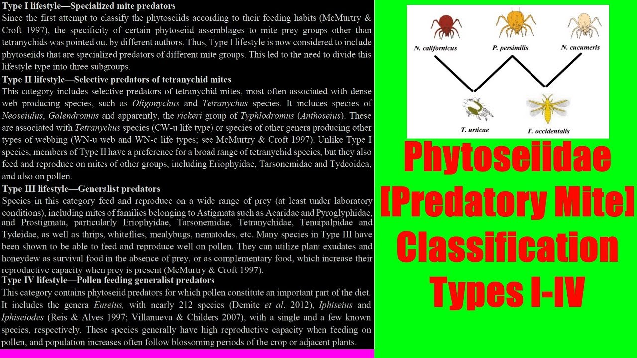 Phytoseiiedae [Predatory Mite] Classification Types I-IV - YouTube