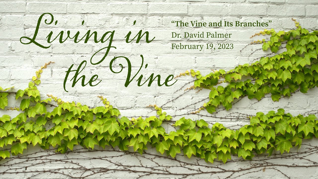 2-19-23 “The Vine and Its Branches”--Traditional Worship - YouTube