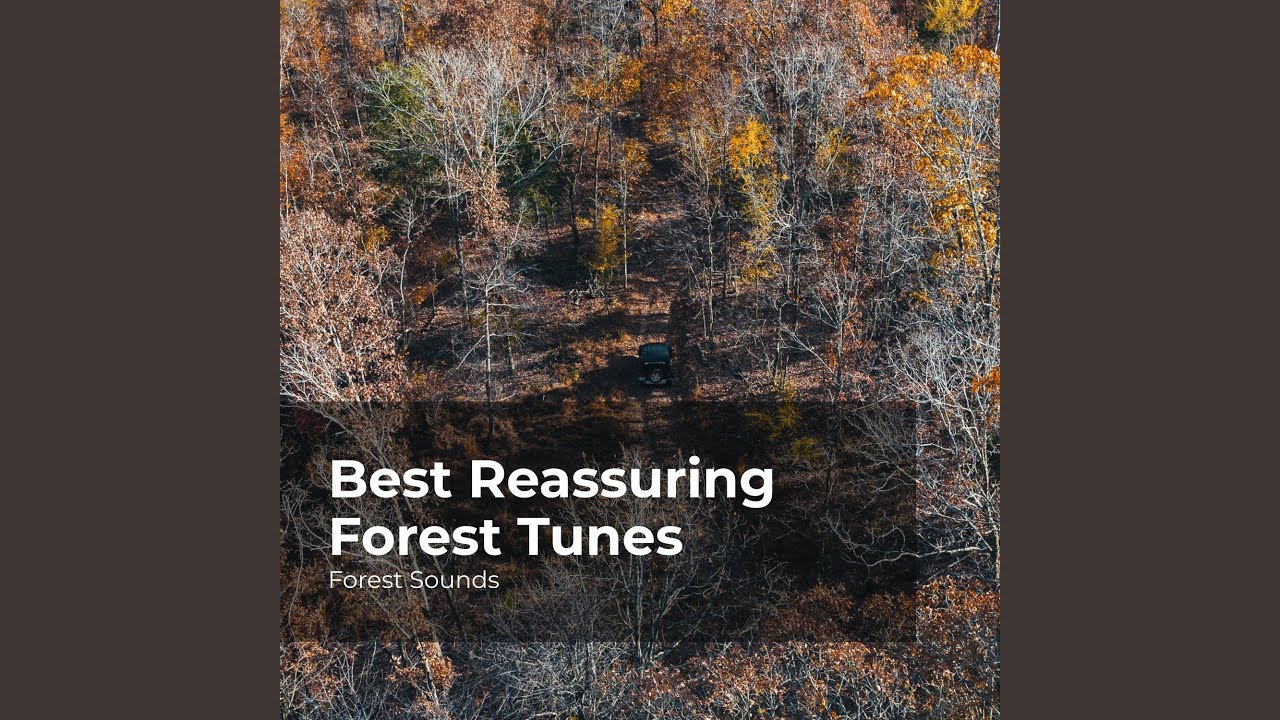 Nature Relieves Stress - YouTube