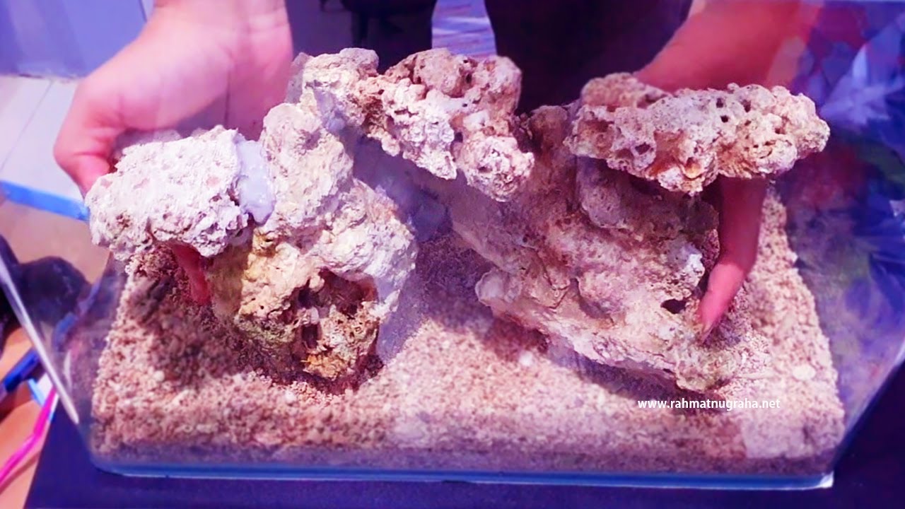 Unboxing Aquarium diisi Batu Karang, Air Laut dan Pasir untuk Aquarium ...