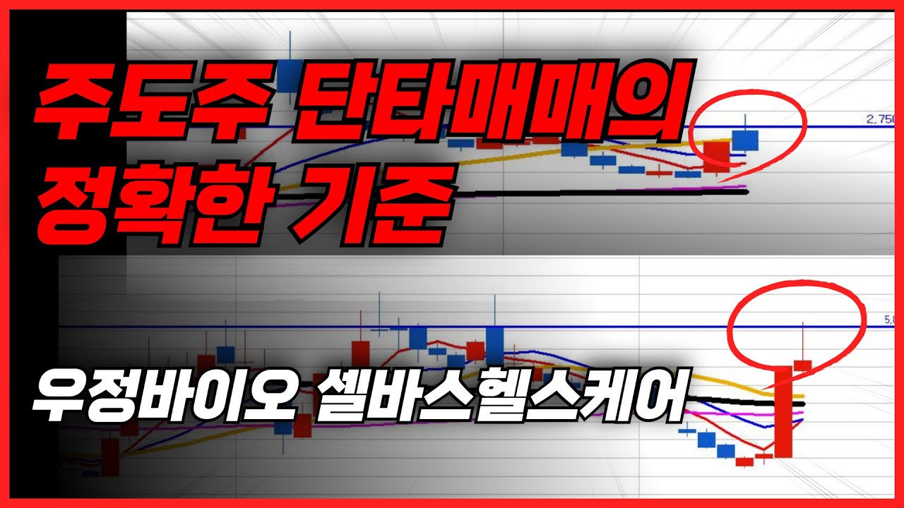 우정바이오 셀바스헬스케어 다음날 상승까지 정확하게 예측 가능한 미친 주식 차트분석 이 영상으로 종결합니다 Youtube