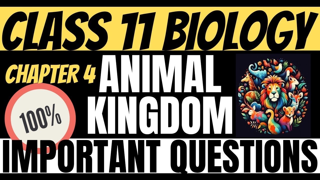 Class 11 Biology Chapter 4 🌿 Most Important Questions | Animal Kingdom ...
