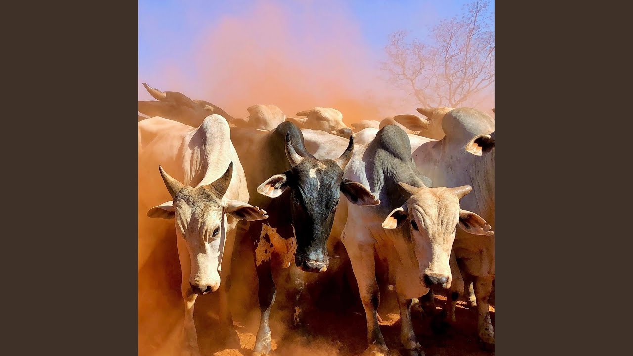 Gida - YouTube Music