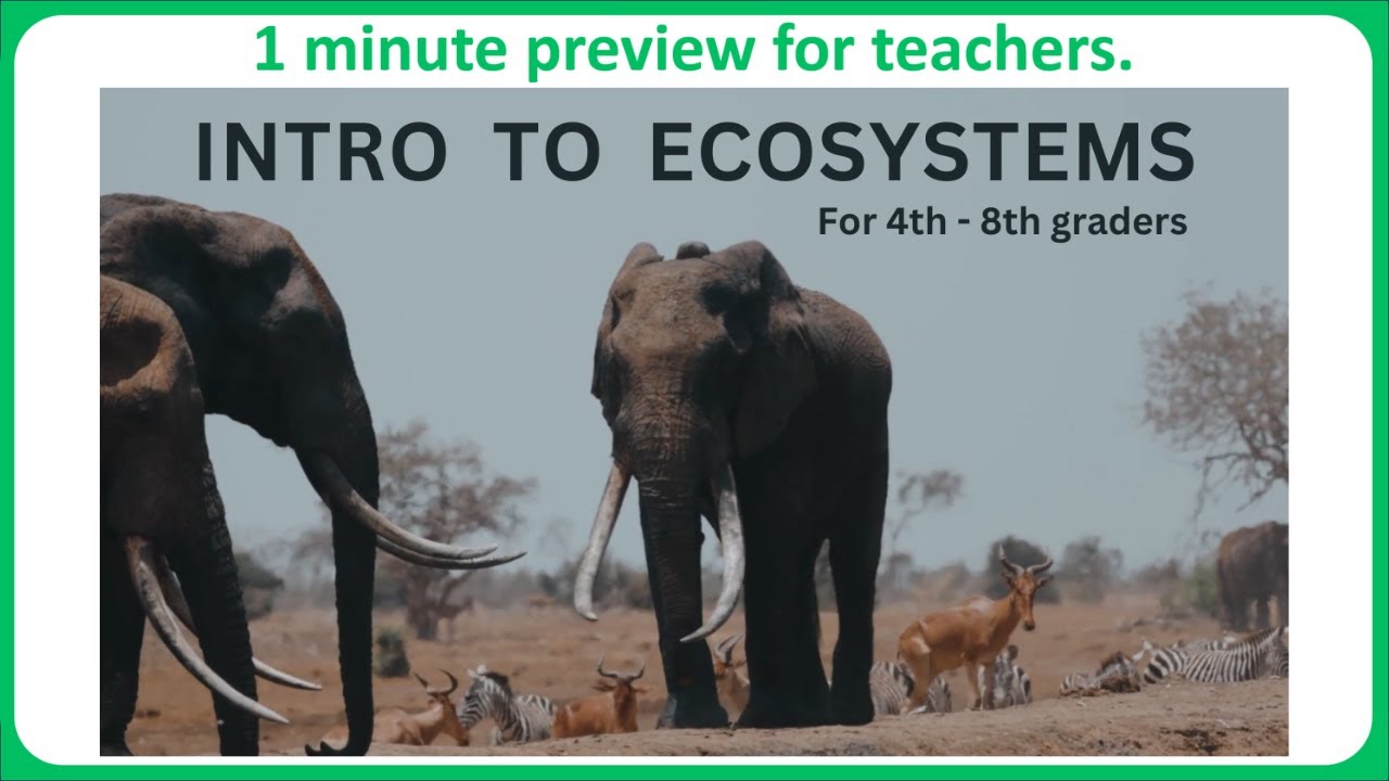 1 minute preview of "Ecosystems" educational science video. - YouTube