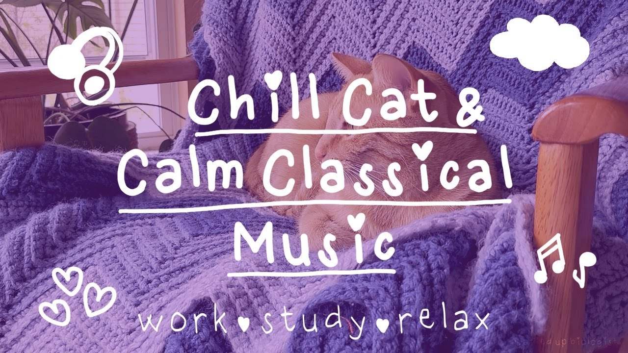 Chill Cat & Calm Classical Music🐱1 Hour of Classical Music to Work ...