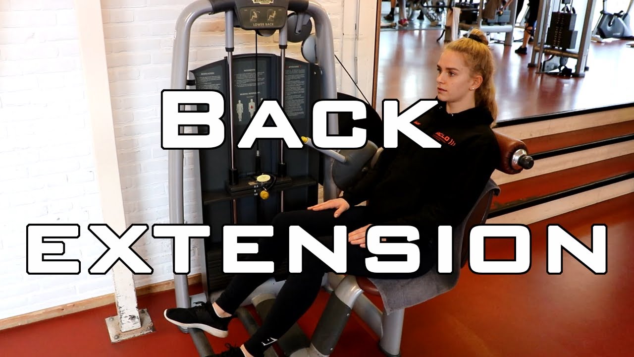 Back extension - ACLO fitness - YouTube