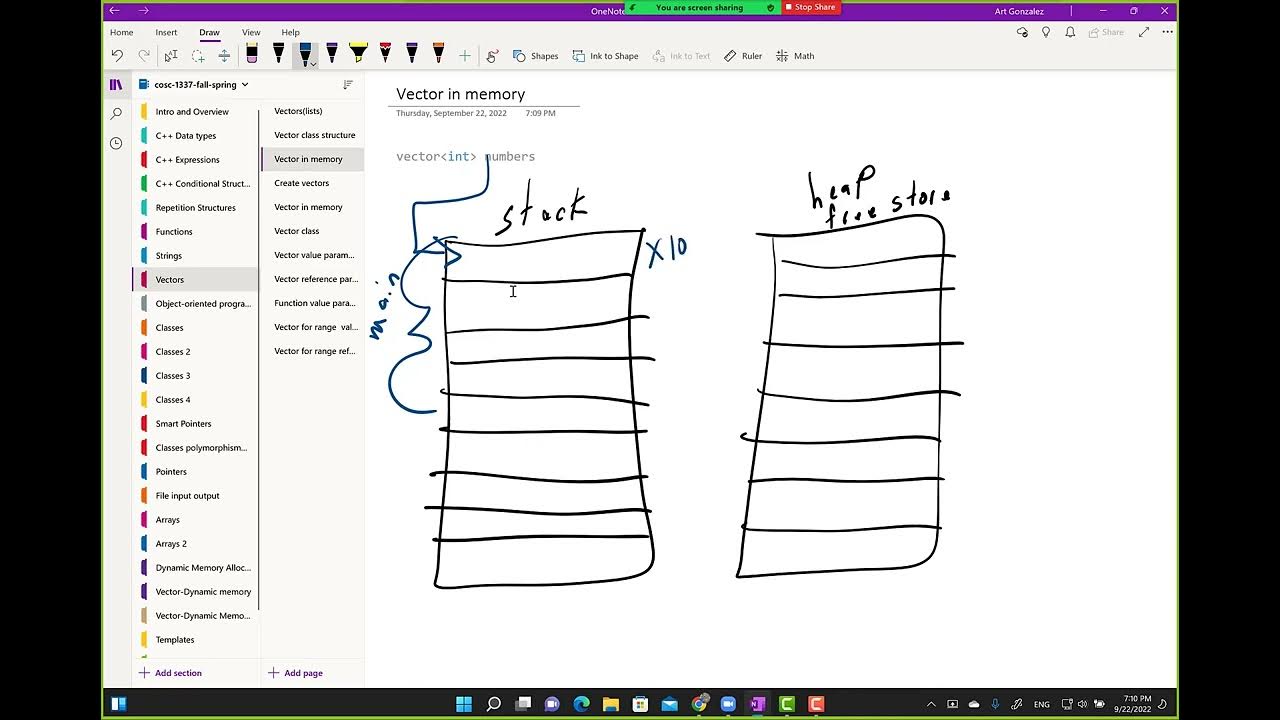 092222 COSC 1337 C++ Vector: memory, create, loop, and value and ref params - YouTube