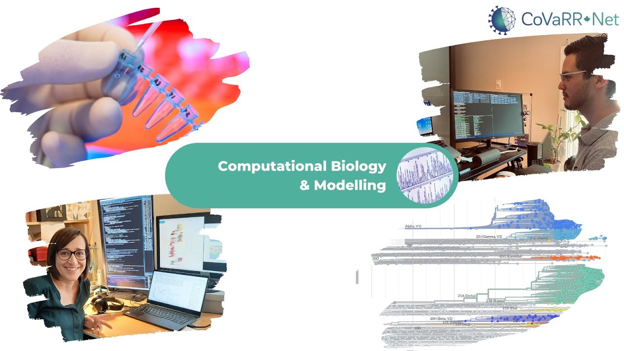 CoVaRR-Net Spotlight: Computational Biology and Modelling Pillar - YouTube