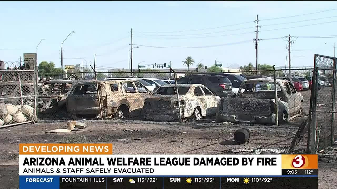 Arizona animal welfare league damaged by propane fire - YouTube