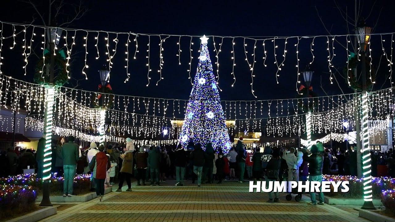 AFN Humphreys - Christmas Tree Lighting - YouTube