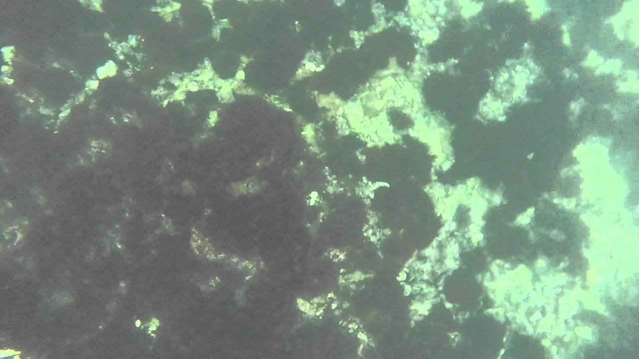 Norfolk's chalk reef - YouTube