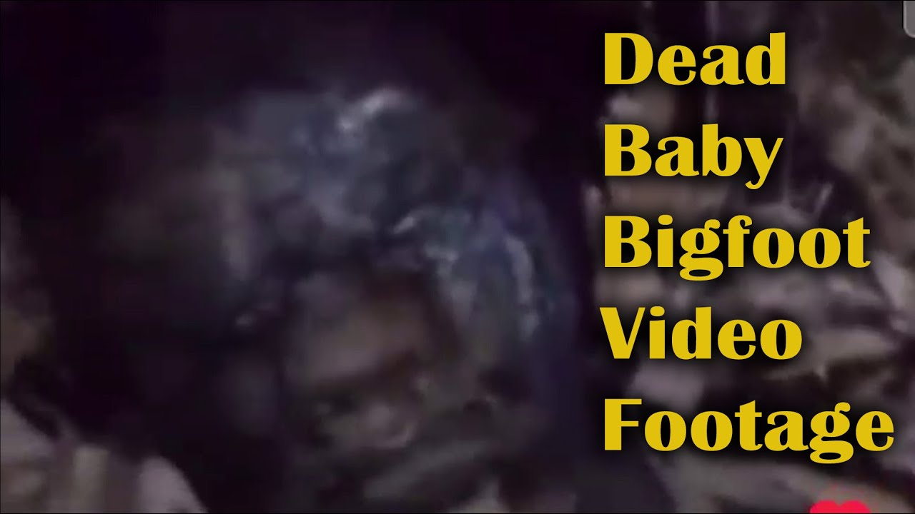 Dead Baby Bigfoot Video. Is this a Sasquatch - YouTube