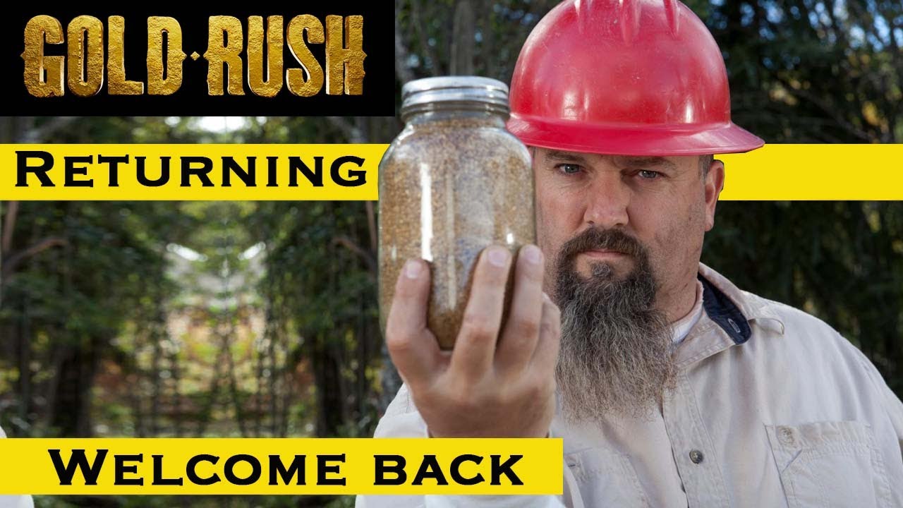 Todd Hoffman’s Gold Rush Comeback: Is He Striking Gold or Courting ...