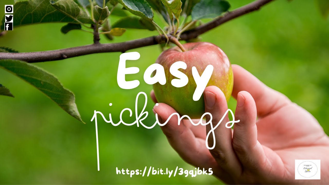 Esteemed Queen & Mentality: EASY PICKINGS - YouTube