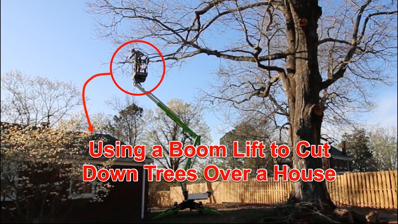 Tree Cutting Over House with Boom Lift - YouTube