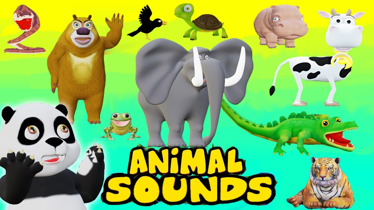 The Animal sounds song AMBA1 | Moo Baa Oink Neigh Growl Quack | Kids ...