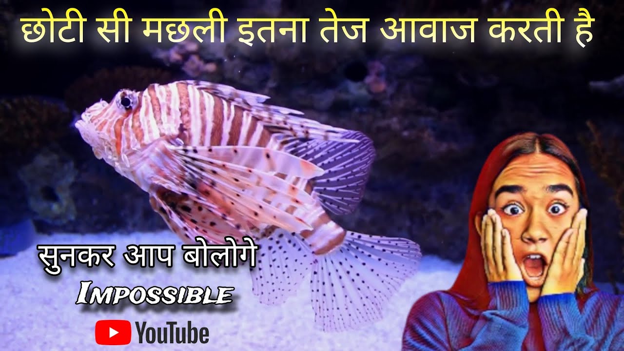 which fish makes the loudest sound !! कौन सी मछली सबसे तेज़ आवाज़ ...