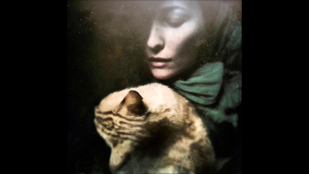 cat's fable - YouTube