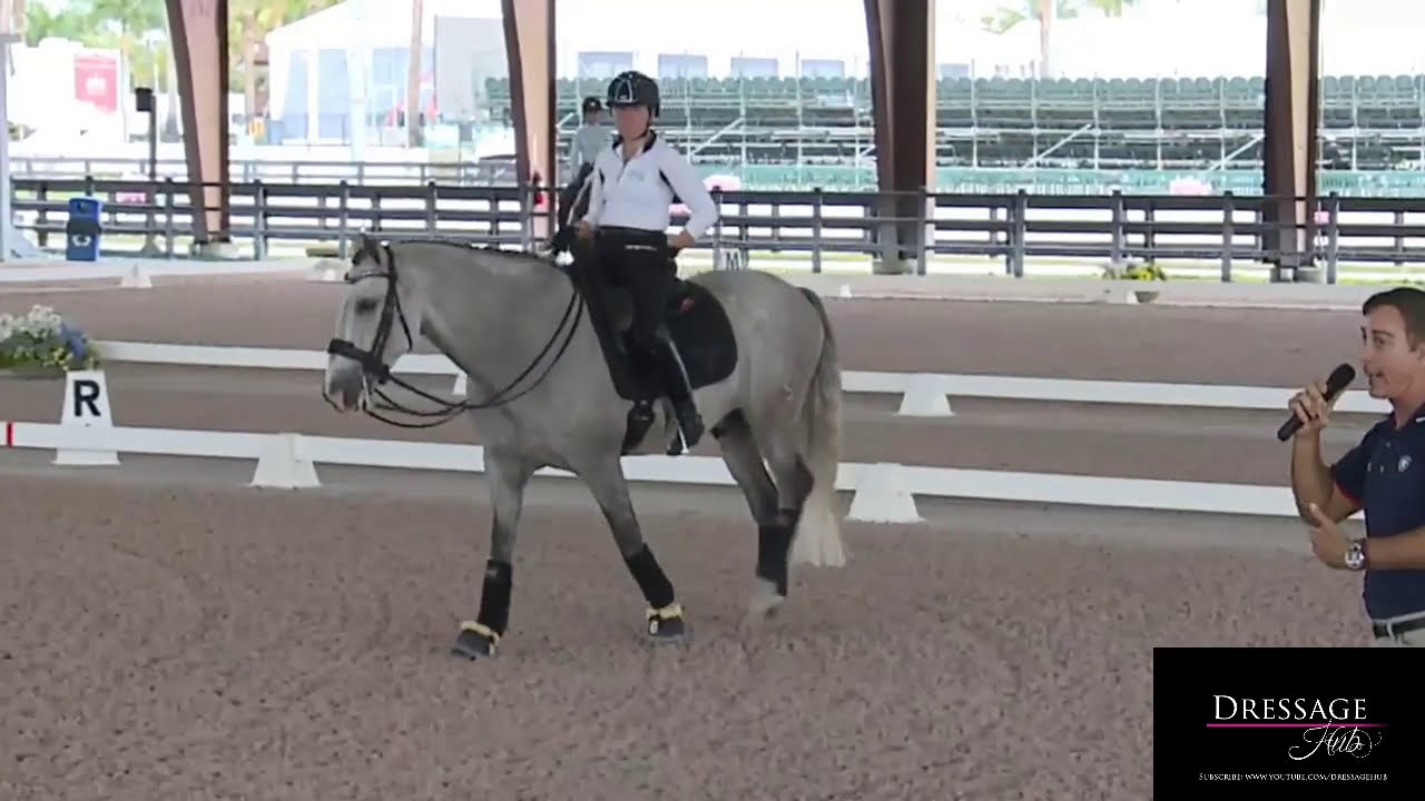 Robert Dover: 4 Things You Should Own In Riding Dressage - YouTube