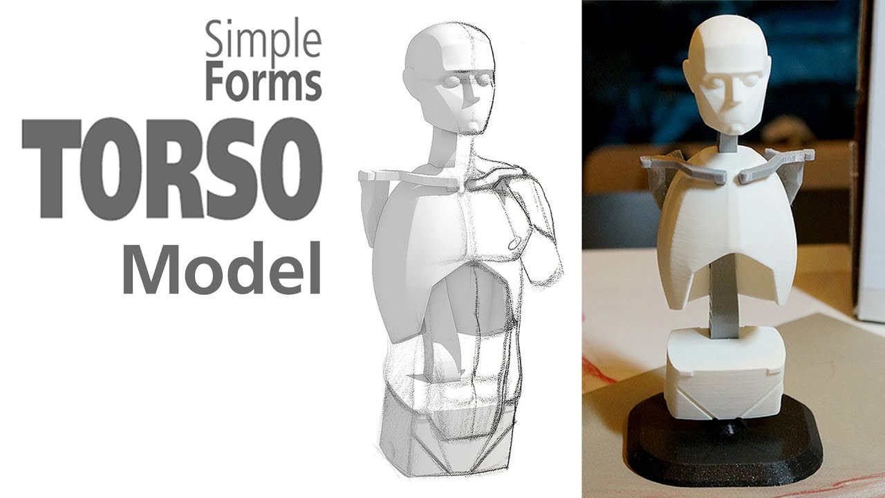 Simple Forms: Torso Model - YouTube