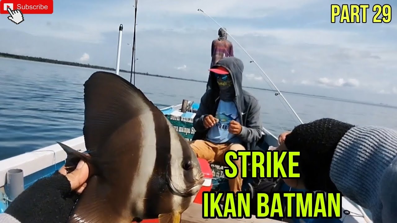 SPOT KARANG | MANCING DAPAT IKAN BATMAN - YouTube
