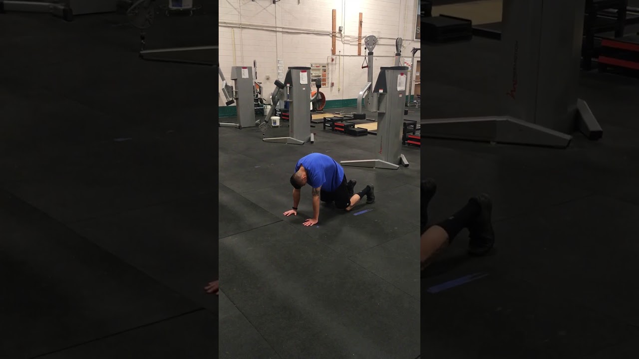 Quadruped Cat Camel - YouTube