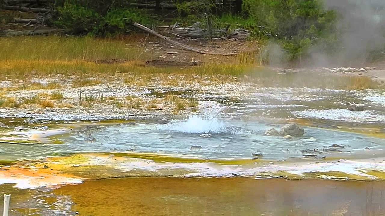 Yellowstone park. Norris Geyser Basin. Monarch Geyser Crater - YouTube