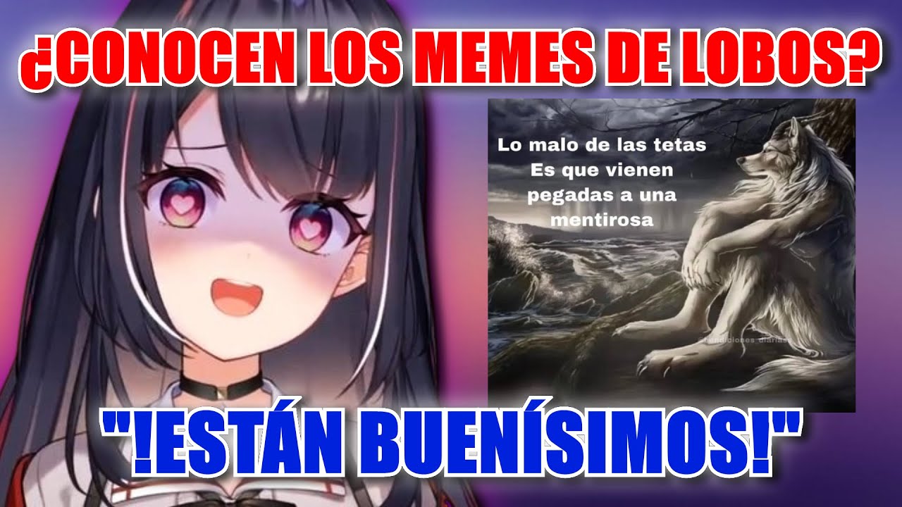 Hina nos muestra los famosos memes de Lobos! / Hina Misora - YouTube