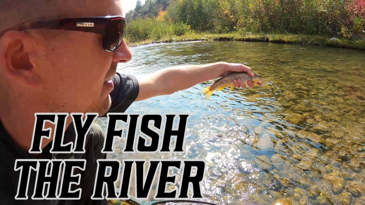 HOW TO Fly Fish and See a BEAR - YouTube