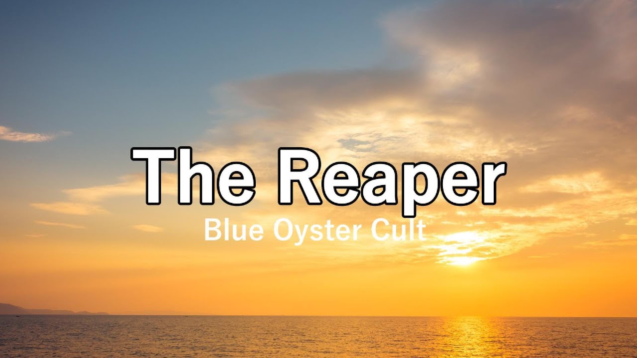 The Reaper (Lyrics) feat. Amy Shark 🎼 The Chainsmokers - YouTube