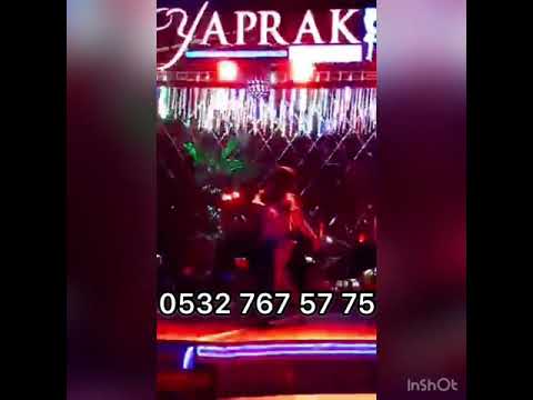 Ankara oryantal kiralama şirketi