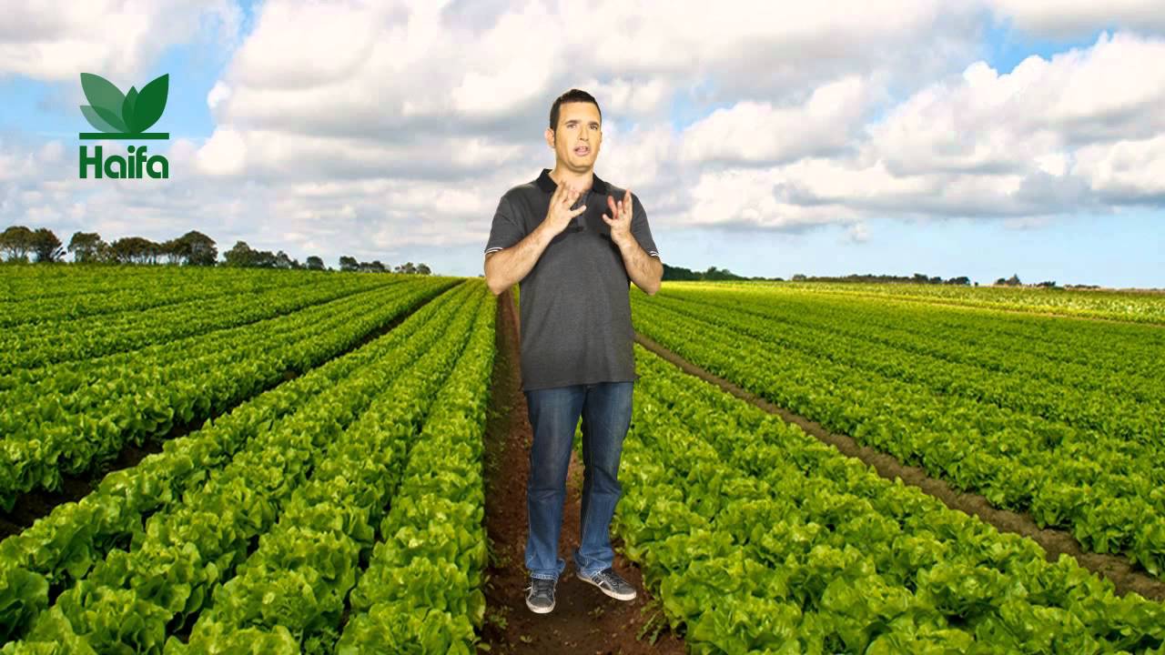 Multicote Agri - Controlled Release Fertilizers for Reduced Application ...