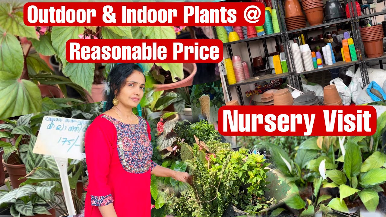 Nursery Visit | Plants @ Reasonable Price | Thrissur Kaipamangalam Agro ...