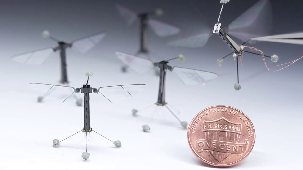 Phantom VEO 710 High-Speed Camera - As the Bug Flies - YouTube