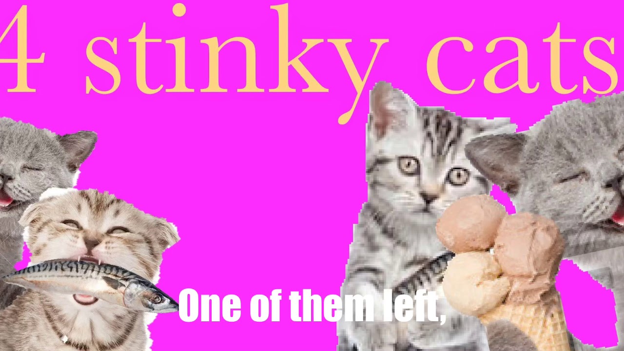 4 STINKY CATS | KIDS SONG | NURSERY RHYMES | LEARN COUNTING | NEW SONG ...