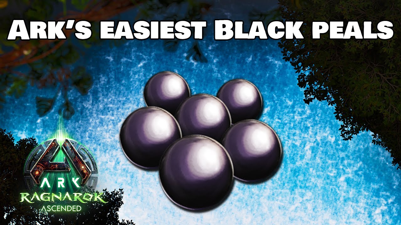 EASY Black Pearl locations - Ragnarok - Ark Survival Ascended. - YouTube